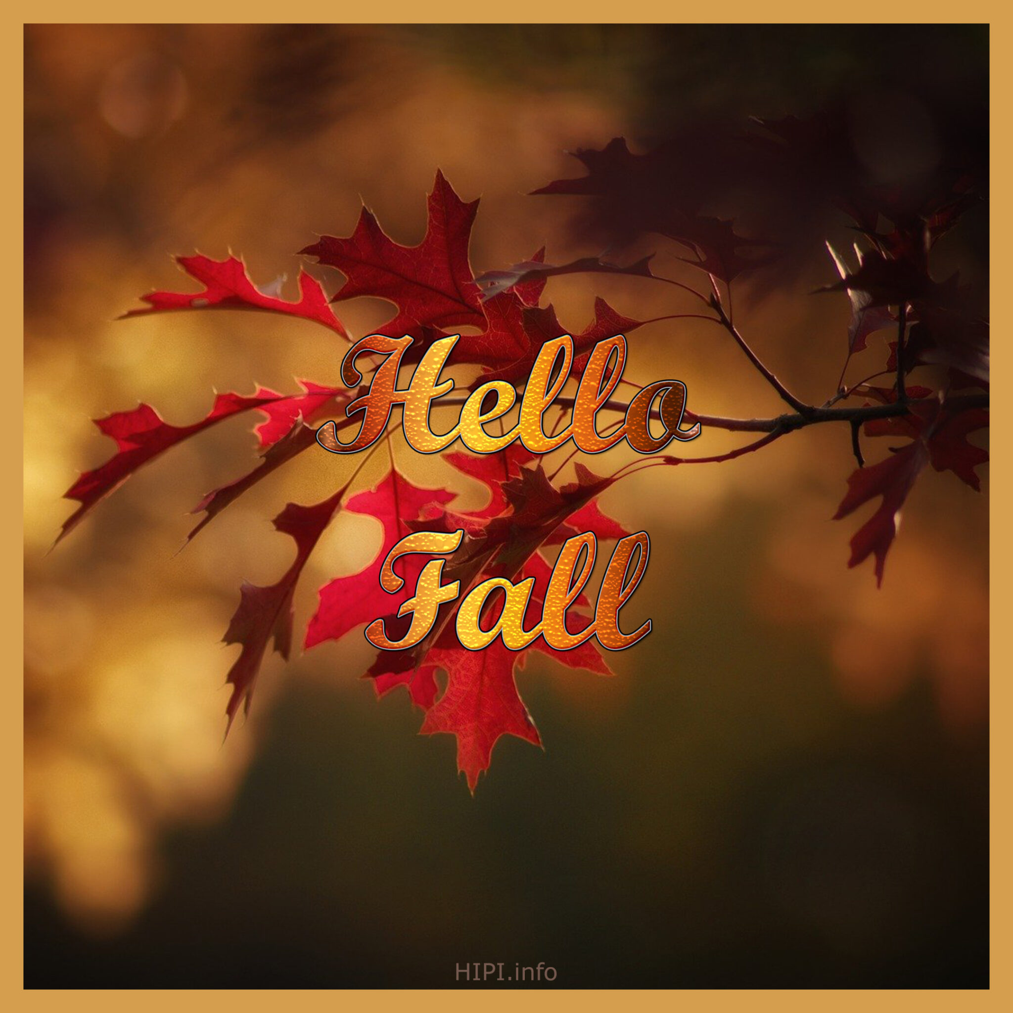 Twitter Header image Nature Autumn Forest 1500x500 - Hipi.info ...